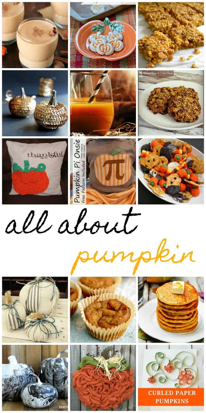 All About Pumpkin- Pumpkin Crafts and Recipes - Housewife Eclectic