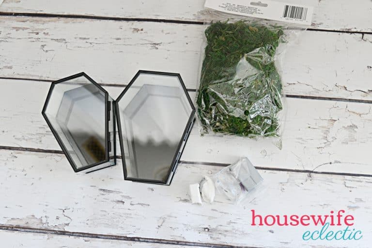 Halloween Coffin Terrarium - Housewife Eclectic
