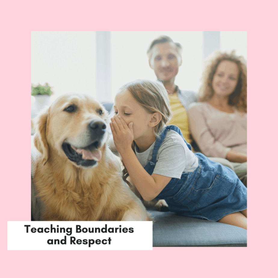 Teaching Your Child The Rights And Wrongs Of Owning A Pet - Housewife ...